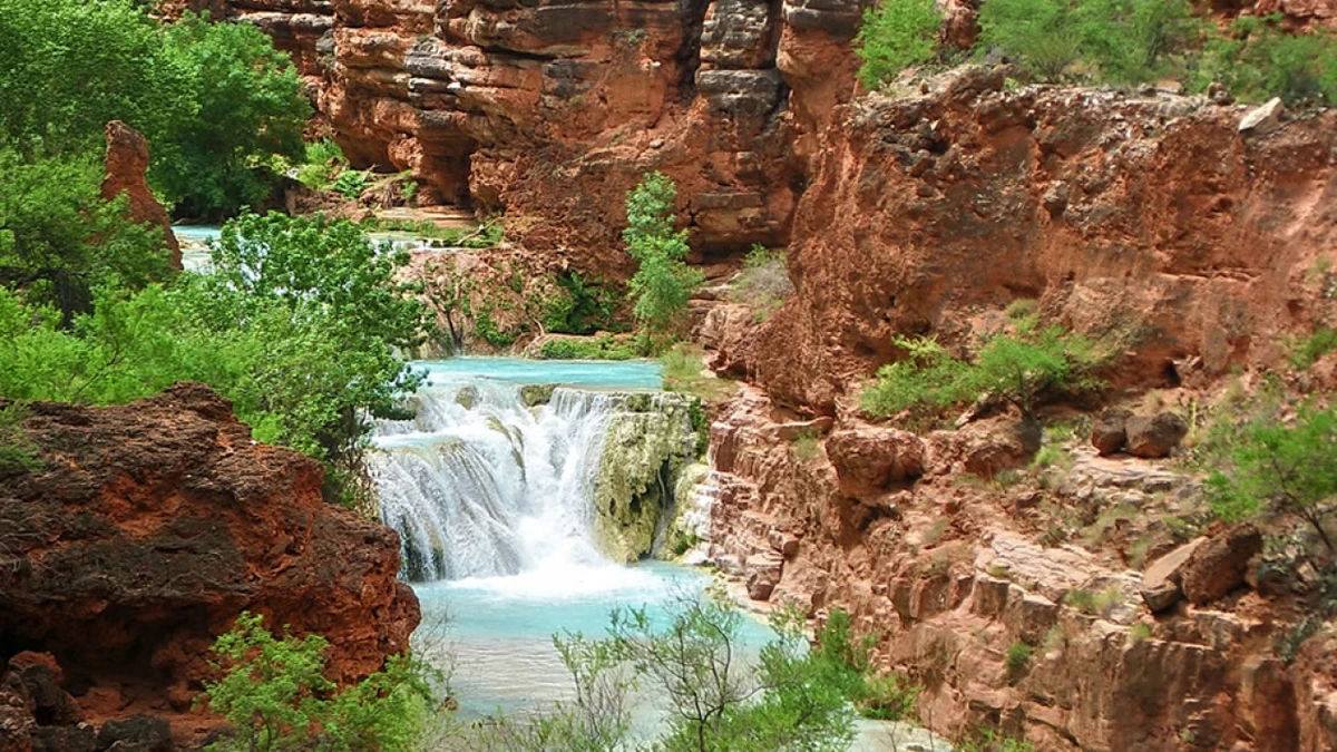 Canyon of Youth | The New Thundera Wiki | Fandom