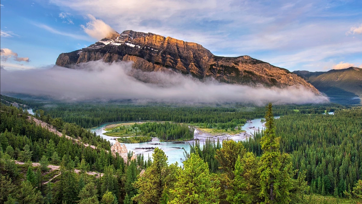 Valley of the Snarfs | The New Thundera Wiki | Fandom