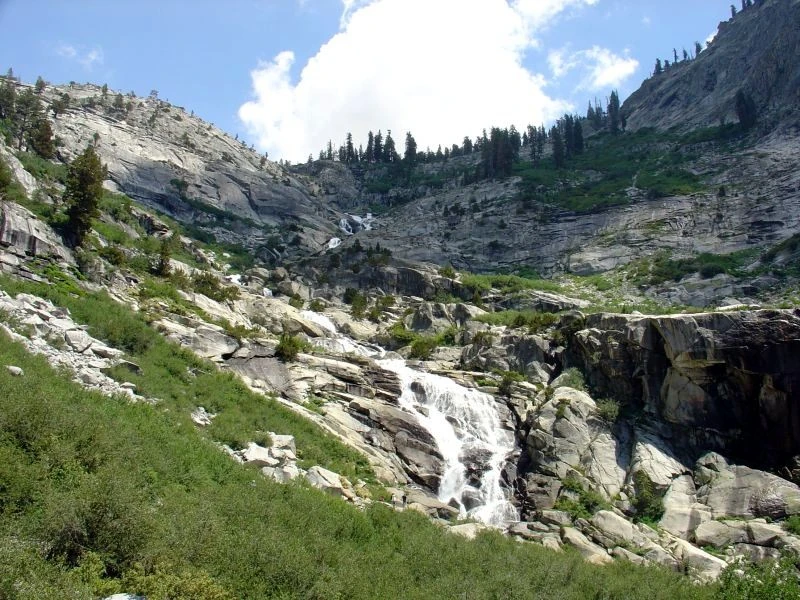 Trices | The New Thundera Wiki | Fandom