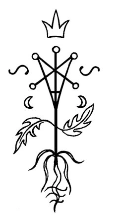 City of Elida | Child of the Moonflower Wiki | Fandom