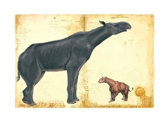 Fauna | Child of the Moonflower Wiki | Fandom