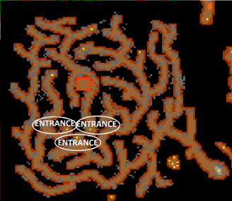 HOW TO BEGIN | Wikia Tibia Adventure ENGLISH | Fandom