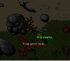 The Bright Sword Quest | Wikia Tibia Adventure ENGLISH | Fandom