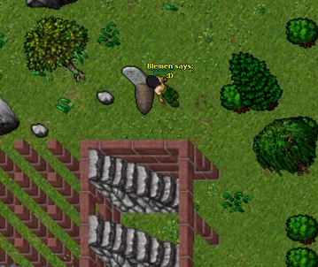 Demon Oak Quest | Wikia Tibia Adventure ENGLISH | Fandom