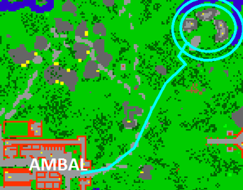 The Amazon Camp | Wikia Tibia Adventure ENGLISH | Fandom