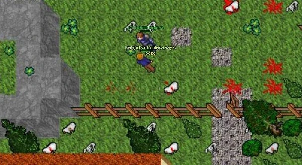 Rookgaard Guide | Tibia Swap Wiki | Fandom