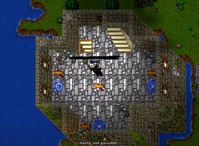 Plains of Havoc | Tibia Swap Wiki | Fandom