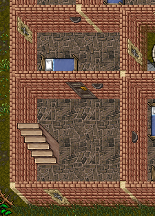 Elm Street 1 | TibiaWiki | Fandom