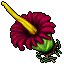 Witches Cauldron Plant | Tibia Wiki | Fandom