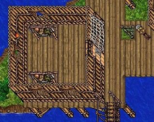 Jungle Edge 4 | TibiaWiki | Fandom