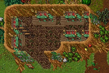 Ab'Dendriel Libraries | TibiaWiki | Fandom