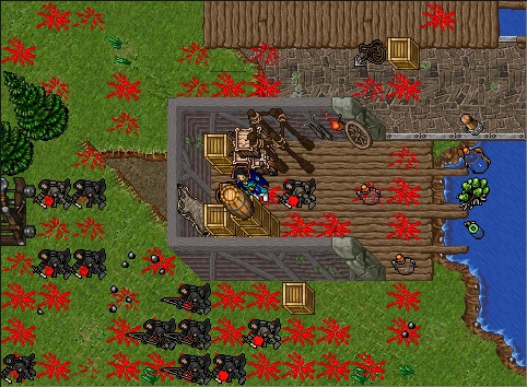 The Order of the Lion Quest | TibiaWiki | Fandom