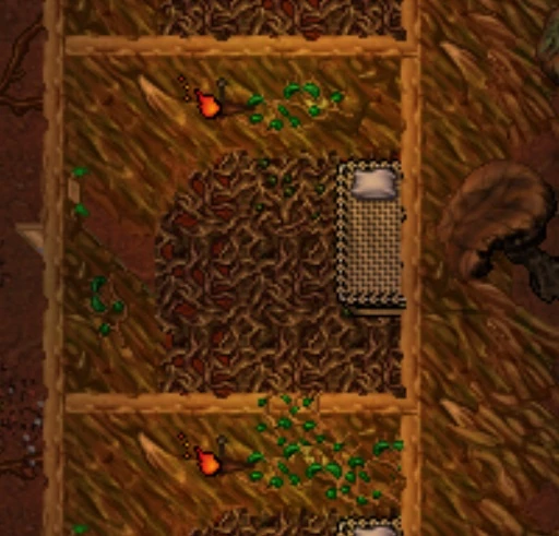 Shadow Caves 26 | TibiaWiki | Fandom