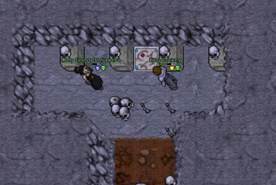 The Paradox Tower Quest/Spoiler | Tibia Wiki | Fandom