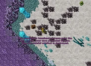 The Cursed Crystal Quest | TibiaWiki | Fandom