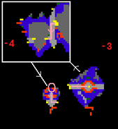 Small Fish | TibiaWiki | Fandom