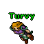 Turvy | TibiaWiki | Fandom