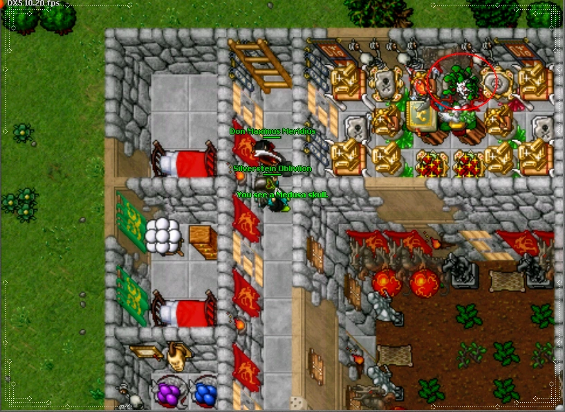 Medusa Skull | TibiaWiki | Fandom