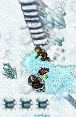 Lion Trophy Quest | TibiaWiki | Fandom