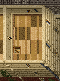 Salvation Street 3 | TibiaWiki | Fandom