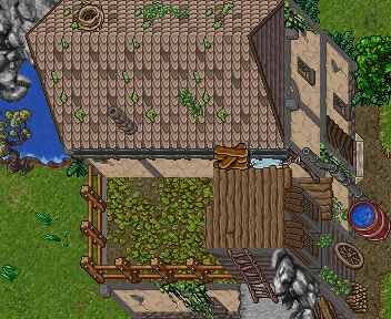 Lion's Head Reef | TibiaWiki | Fandom