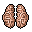 Brain Head's Brain | TibiaWiki | Fandom