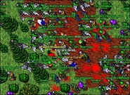 Thais Raids | TibiaWiki | Fandom