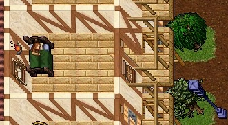 The City Wall 5f | TibiaWiki | Fandom