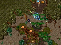 Cartography 101 Quest | TibiaWiki | Fandom