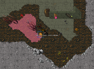 Oramond Quest/Spoiler | TibiaWiki | Fandom