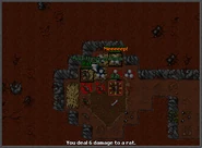 Munster | TibiaWiki | Fandom