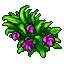 Purple Kiss Bush | Tibia Wiki | Fandom