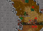 Grimvale Quest | TibiaWiki | Fandom