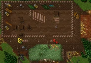 Rottin Wood | TibiaWiki | Fandom