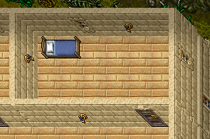 Paupers Palace, Flat 31 | TibiaWiki | Fandom