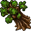 Dwarf Tree | TibiaWiki | Fandom