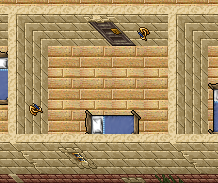 Paupers Palace, Flat 14 | TibiaWiki | Fandom