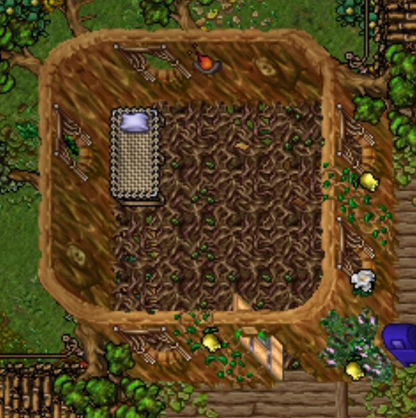 Coastwood 9 | TibiaWiki | Fandom