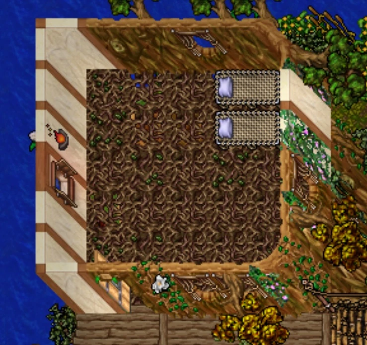 Coastwood 5 | TibiaWiki | Fandom