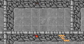 Edron Flats, Flat 24 | TibiaWiki | Fandom