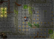 Medusa Tower | TibiaWiki | Fandom