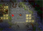 Medusa Tower | TibiaWiki | Fandom