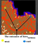 Insectoid Outfits Quest | TibiaWiki | Fandom