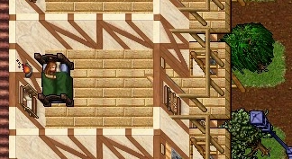 The City Wall 5d | TibiaWiki | Fandom