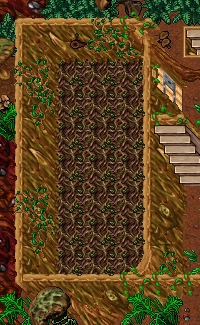 Shadow Caves 1 | TibiaWiki | Fandom