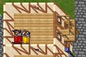 The City Wall 3f | TibiaWiki | Fandom