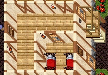 Wood Avenue 9b | TibiaWiki | Fandom