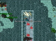 The Secret Library Quest | TibiaWiki | Fandom