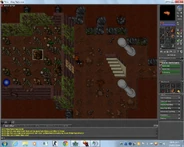 Rottie the Rotworm | Tibia Wiki | Fandom