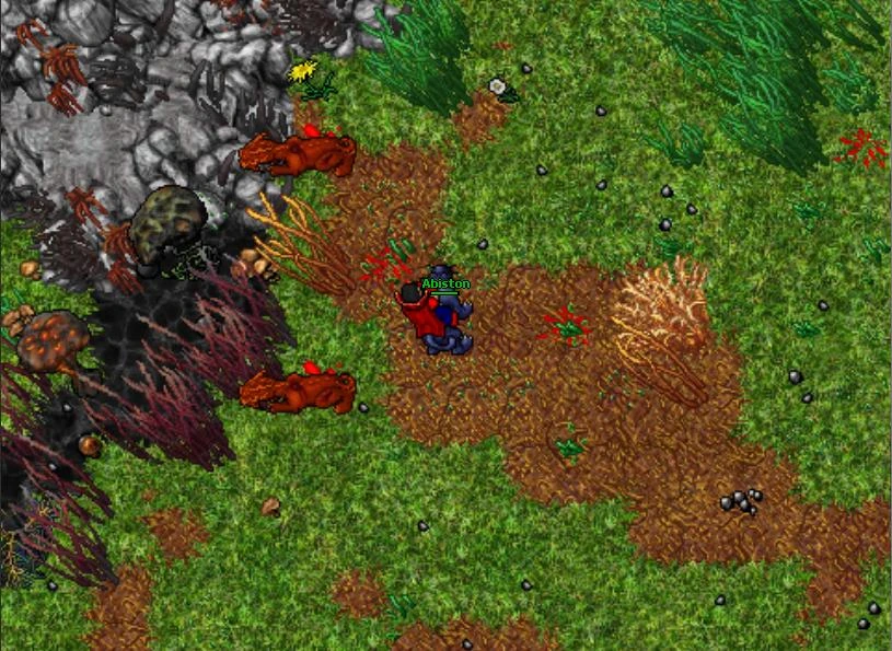 Draptor | TibiaWiki | Fandom